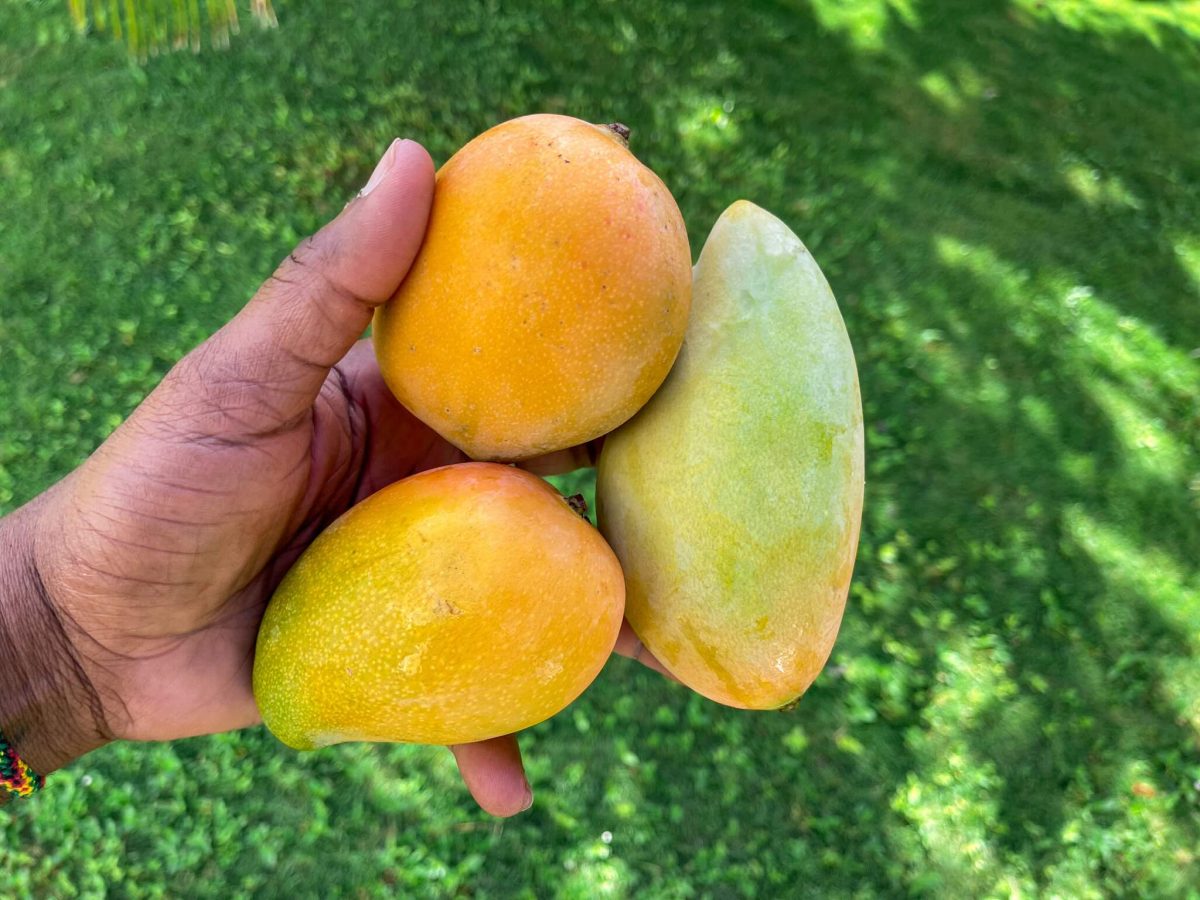 How to Order Directly from Amazon to the Cayman Islands - Ctrl+Alt+Geek